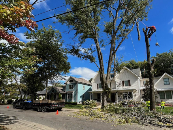 Expanding Horizons: Riverside Tree Service Partners with Tree Leads ...