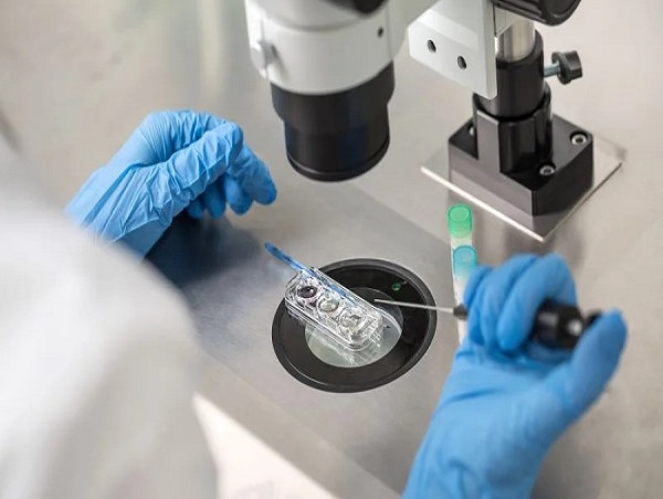 Ivf Devices And Consumables Market Charting Trajectories Of Growth