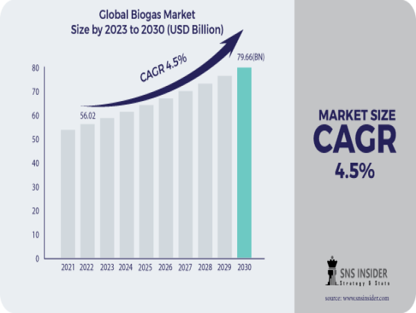 Biogas Market to Surpass USD 79.66 Billion by 2030 owing to Renewable ...