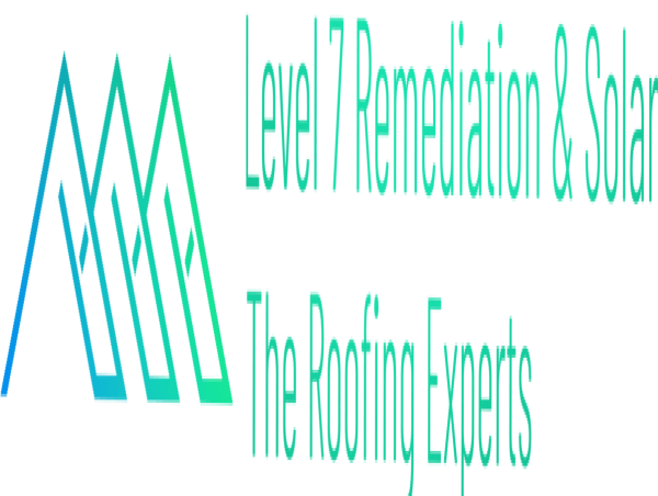 Level 7 Roof Experts: Revolutionizing Roof Installation with Innovative ...