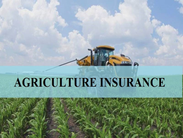 Agricultural Crop Insurance Market Massive Growth opportunity Ahead ...