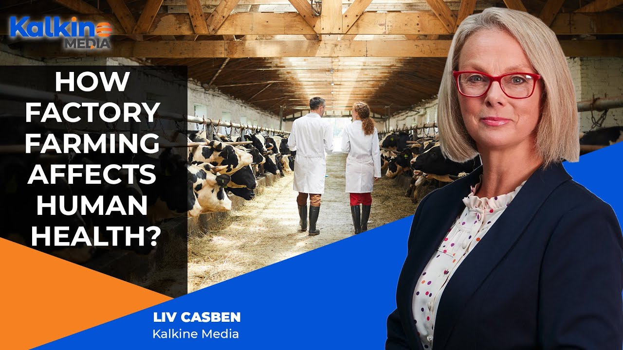How Factory Farming Affects Human Health?