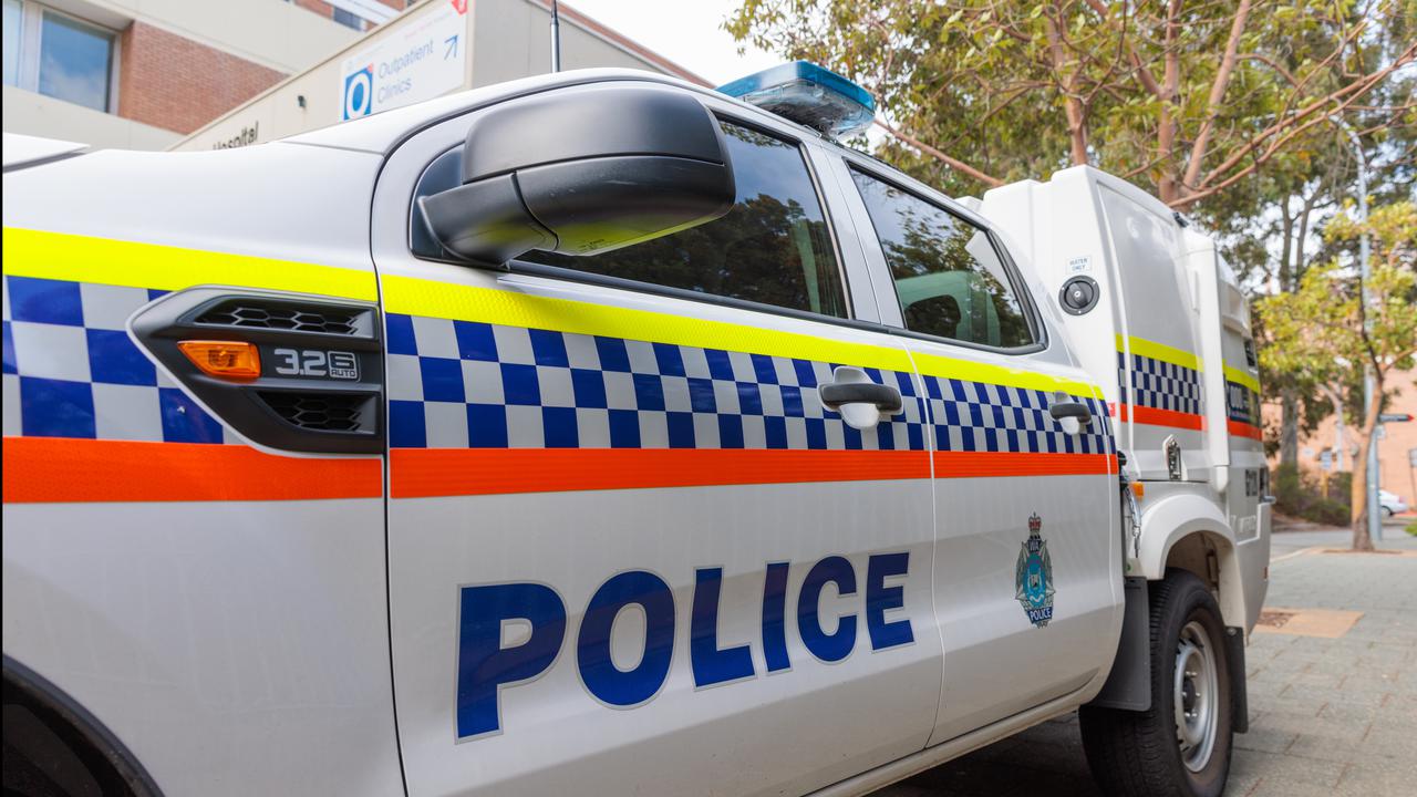 Pregnant mum hit with brick clings to life