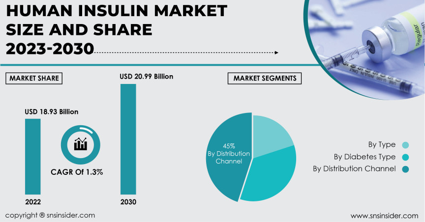 Human Insulin Market to Reach USD 20.99 Billion by 2030 - Report by SNS ...