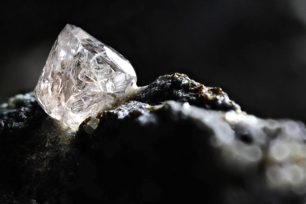 Askari Metals Advances Nejo Gold-Copper Exploration Strategy in Ethiopia