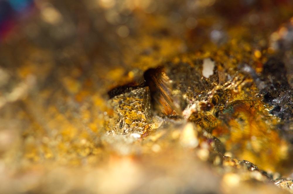Gold Project Collaboration Activity Featuring Adelong Gold in All ...
