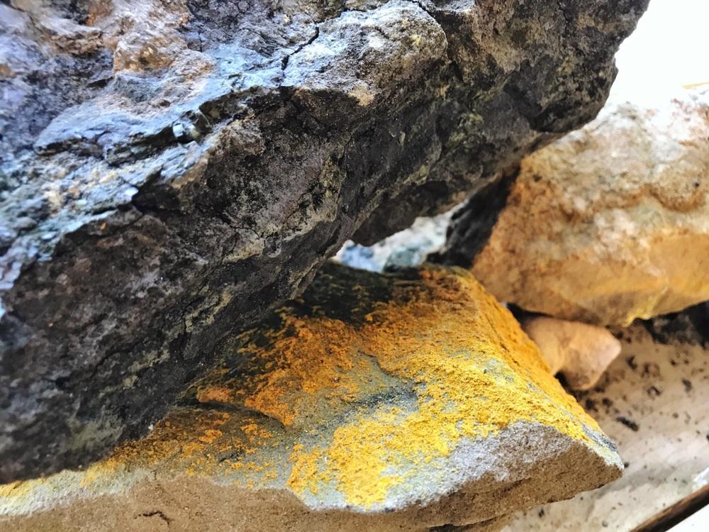 Cauldron Energy Reveals Key Uranium Results at Yanrey Project